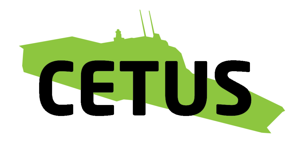Cetus™ Maritime Simulator Displays - 3D perception